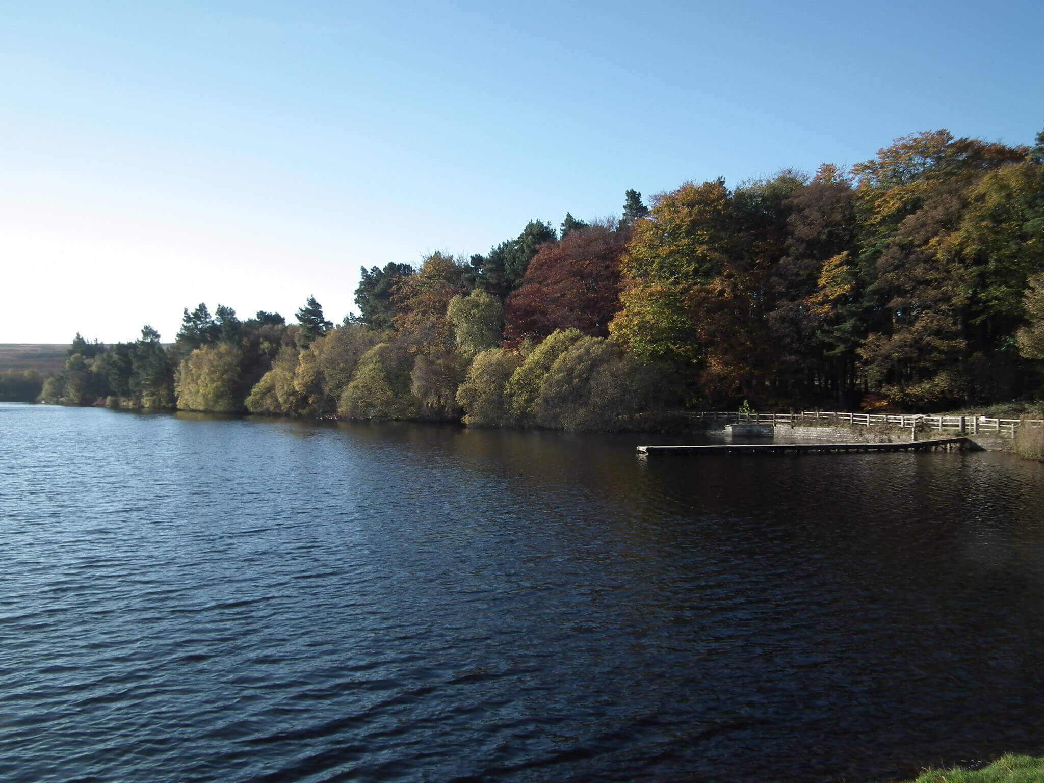 Middlesbrough Angling Club