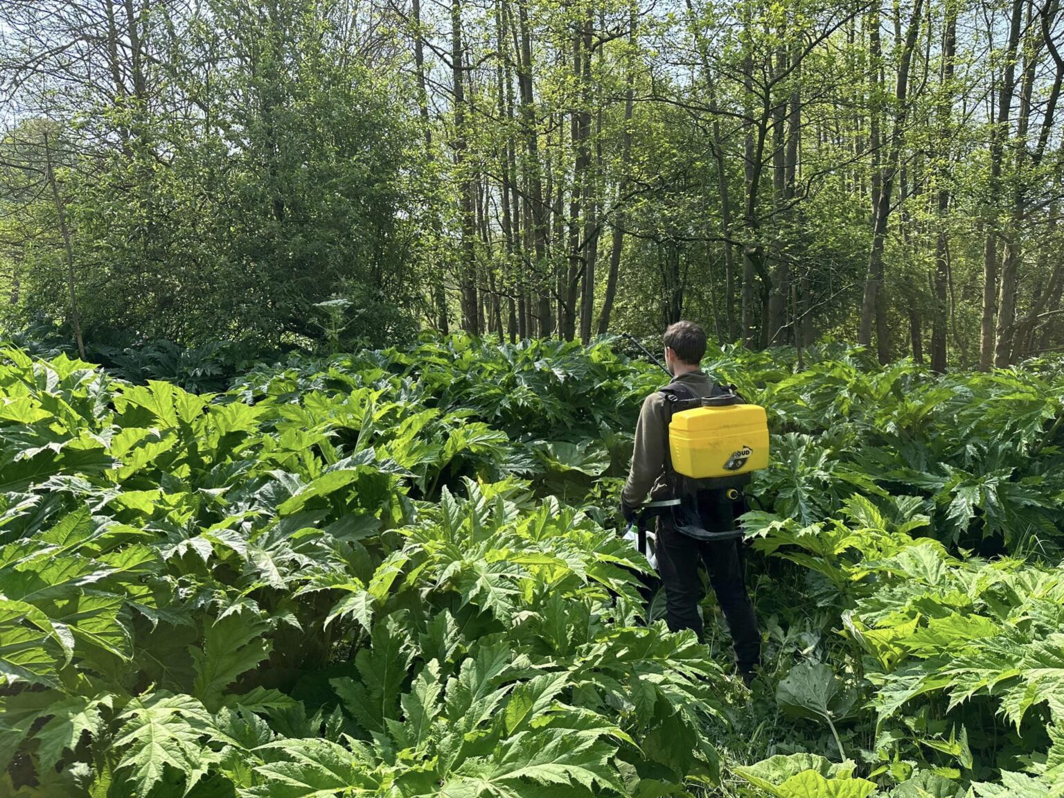 M.A.C. – Spring/Summer Roundup 2024 – Middlesbrough Angling Club