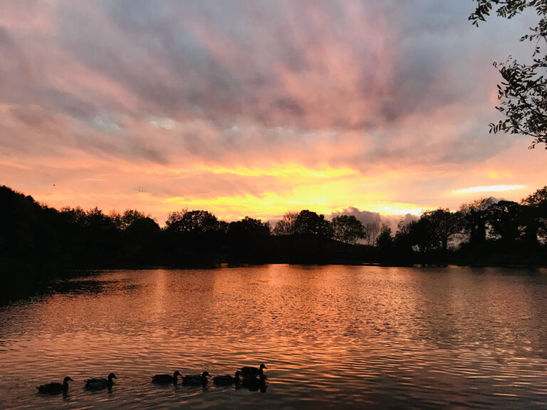 Middlesbrough Angling Club – Official website for Middlesbrough Angling ...