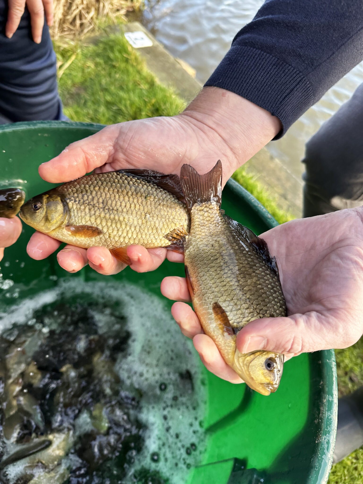 Middlesbrough Angling Club – Official website for Middlesbrough Angling ...